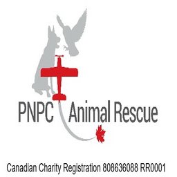 Les Pattes Jaunes – Catalogue numérique d’animaux à adopter | Les ...